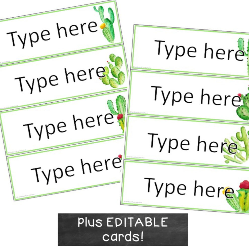 Editable Daily Timetable | Class Schedule [Cactus Theme] – Rainbow Sky ...